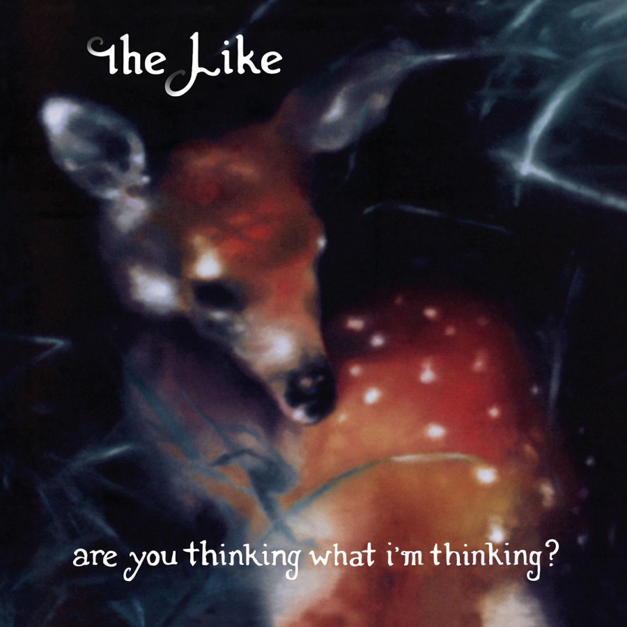 ARE YOU THINKING WHAT I M THINKING Limited 180gram Audiophile LP are-you-thinking-what-i-m-thinking-limited-180gram-audiophile-lp