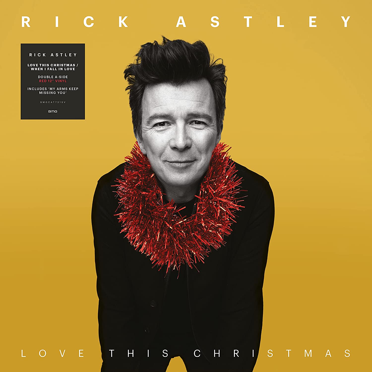 Rick Astley | What Records